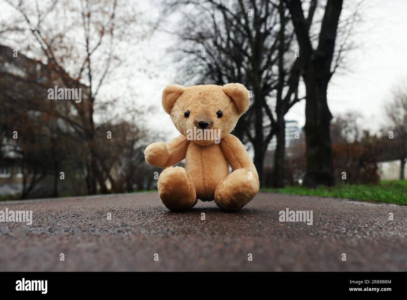Lonely road teddy bear hi-res stock photography and images - Alamy