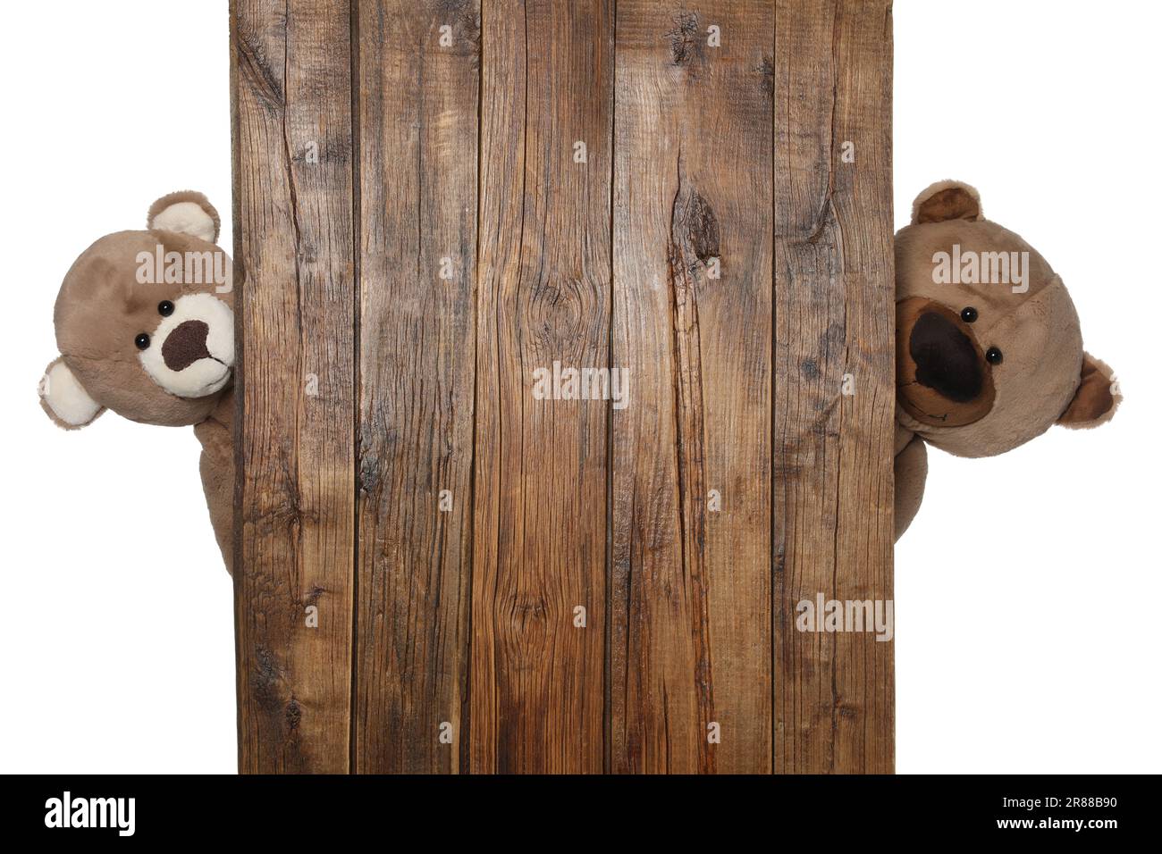 Cute Teddy Bears Peeking Out Of Wooden Board On White Background Stock