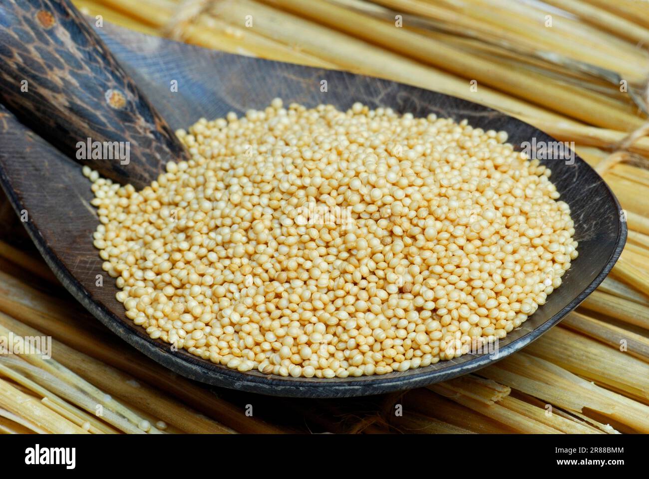 Amaranth seed hi-res stock photography and images - Alamy