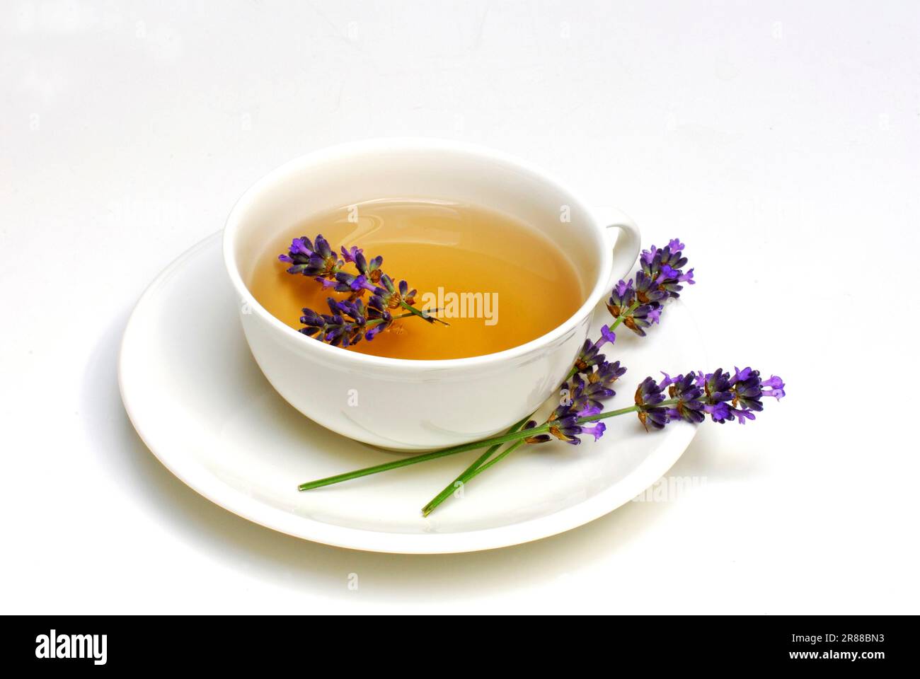 Cup of lavender tea (Lavandula angustifolia Stock Photo - Alamy