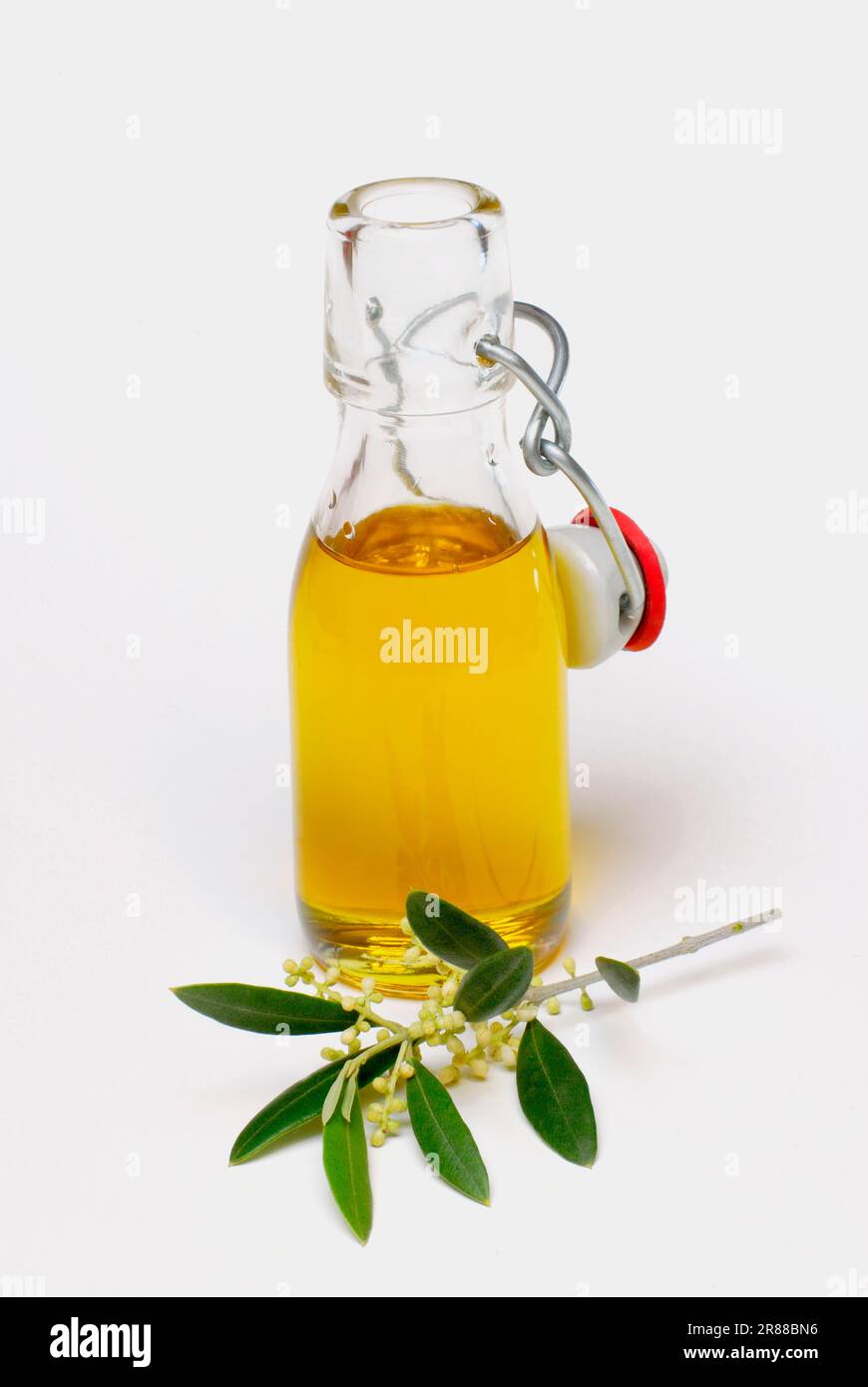 Olive oil bottle (Olea), olive oil Stock Photo - Alamy