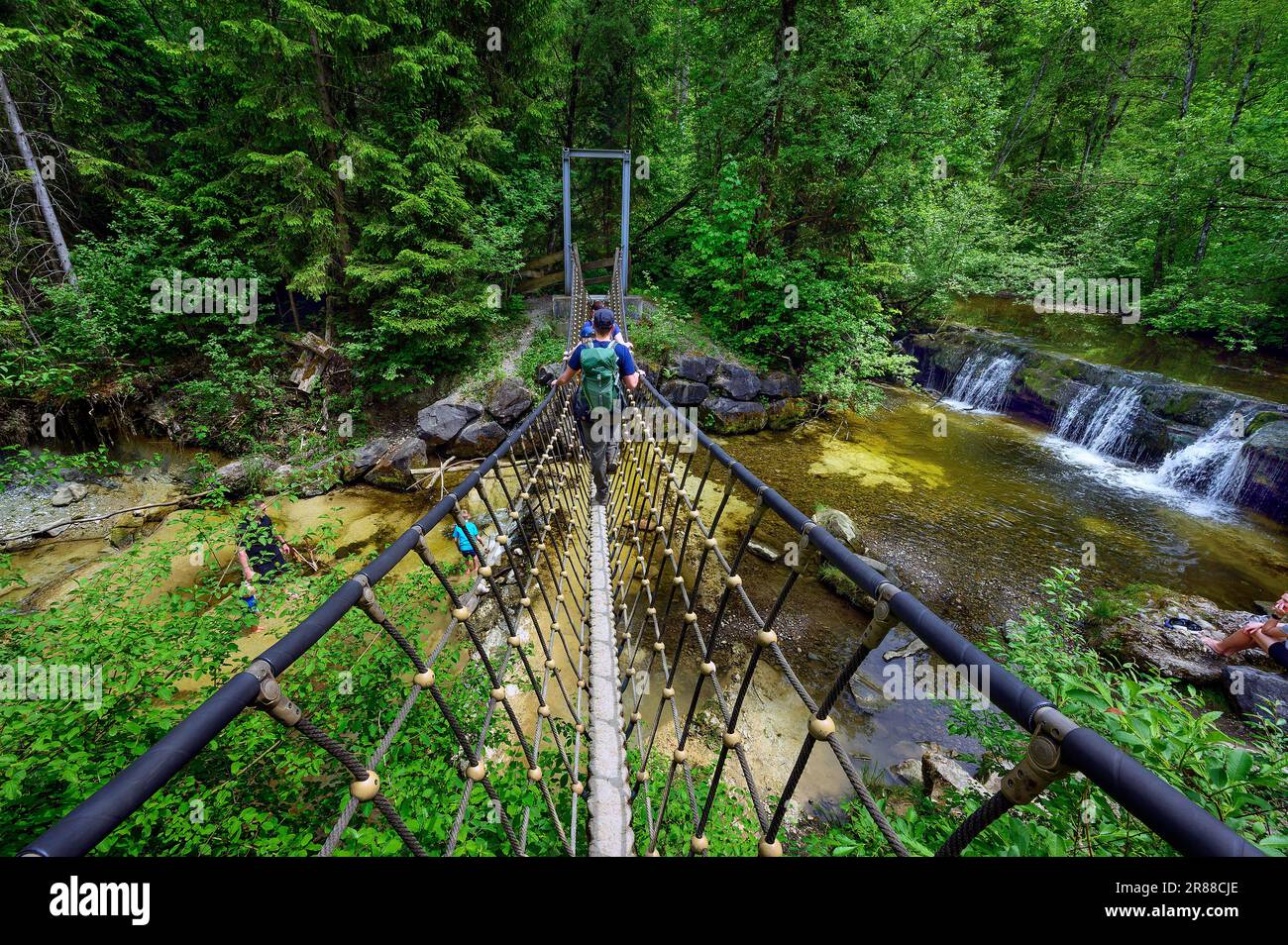 Suspension bridge in the stream valley on the Durach, Durach, Allgaeu ...