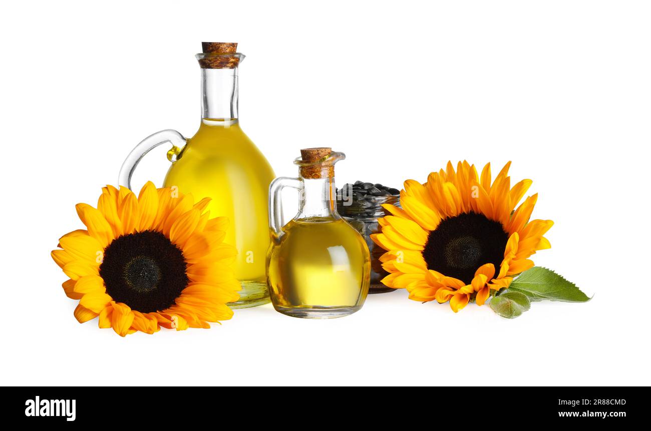 Sunflower cooking oil, seeds and yellow flowers on white background ...