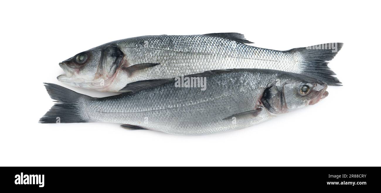 Fresh sea bass fish on white background, top view Stock Photo - Alamy