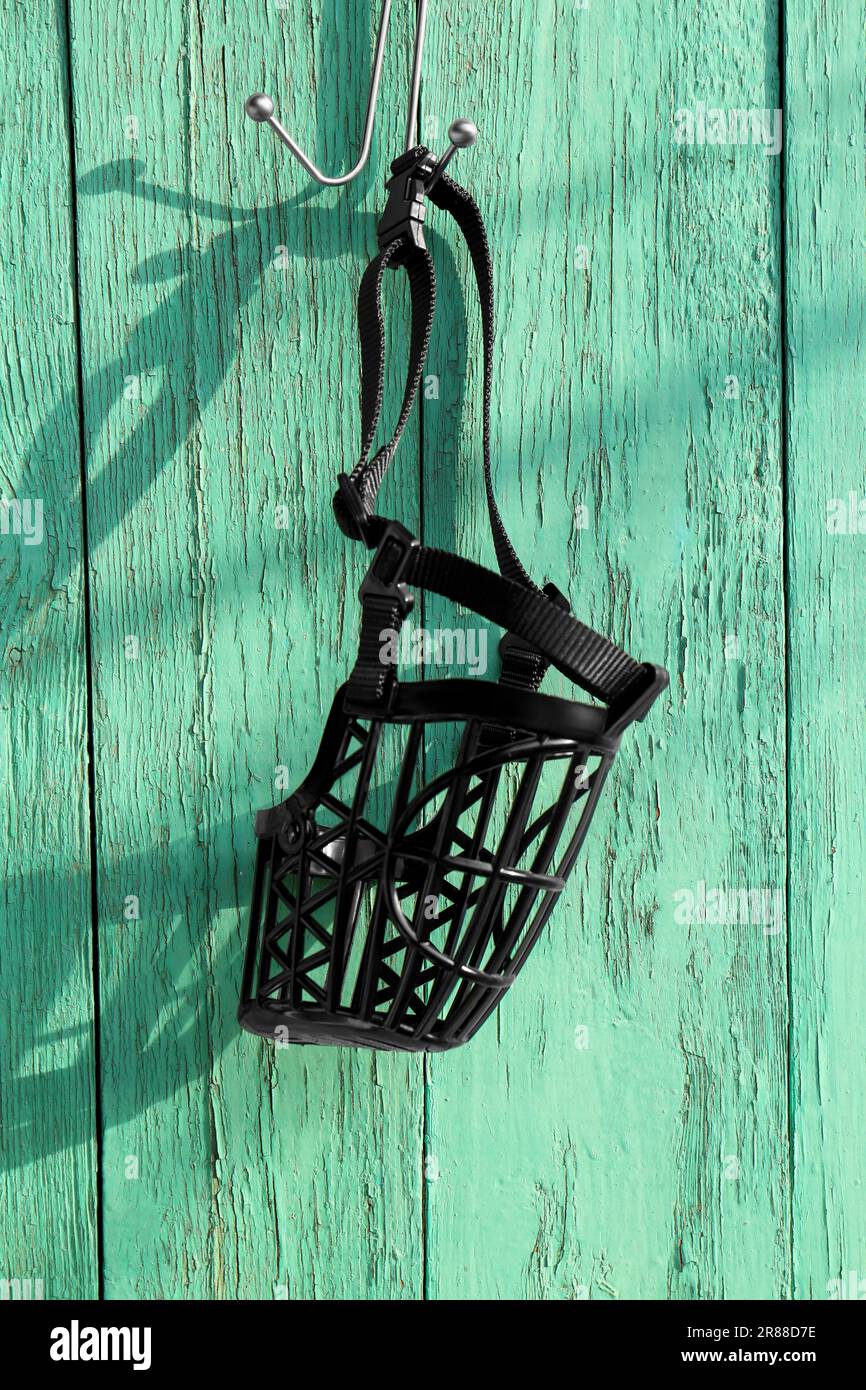 Black dog muzzle hanging near green fence Stock Photo - Alamy