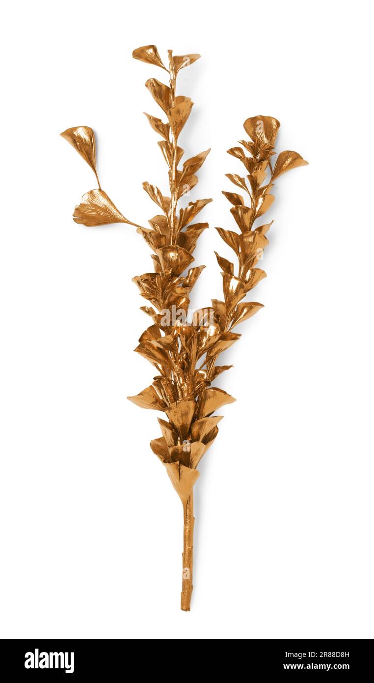 Shiny golden branch with leaves on white background, top view. Decor ...