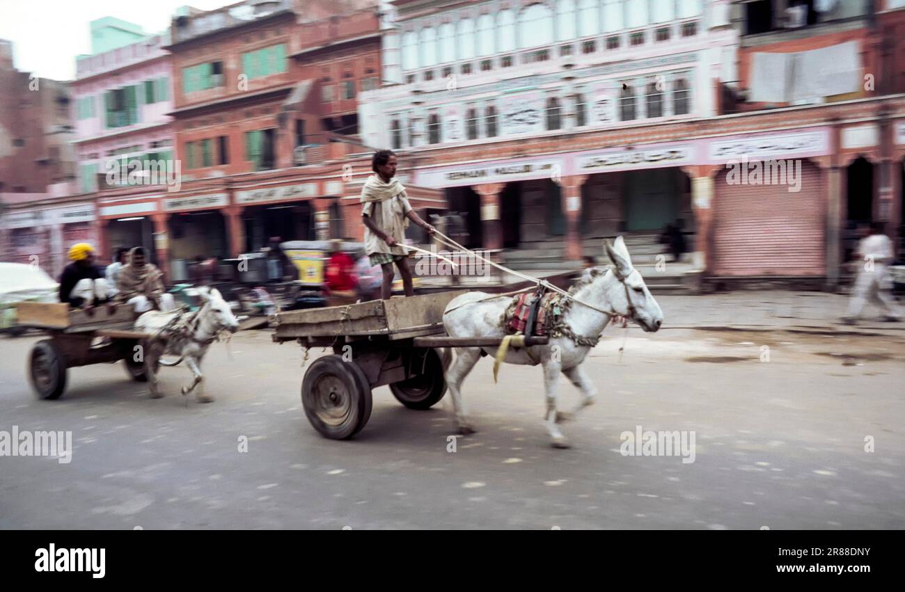 Pony and cart hi-res stock photography and images - Alamy