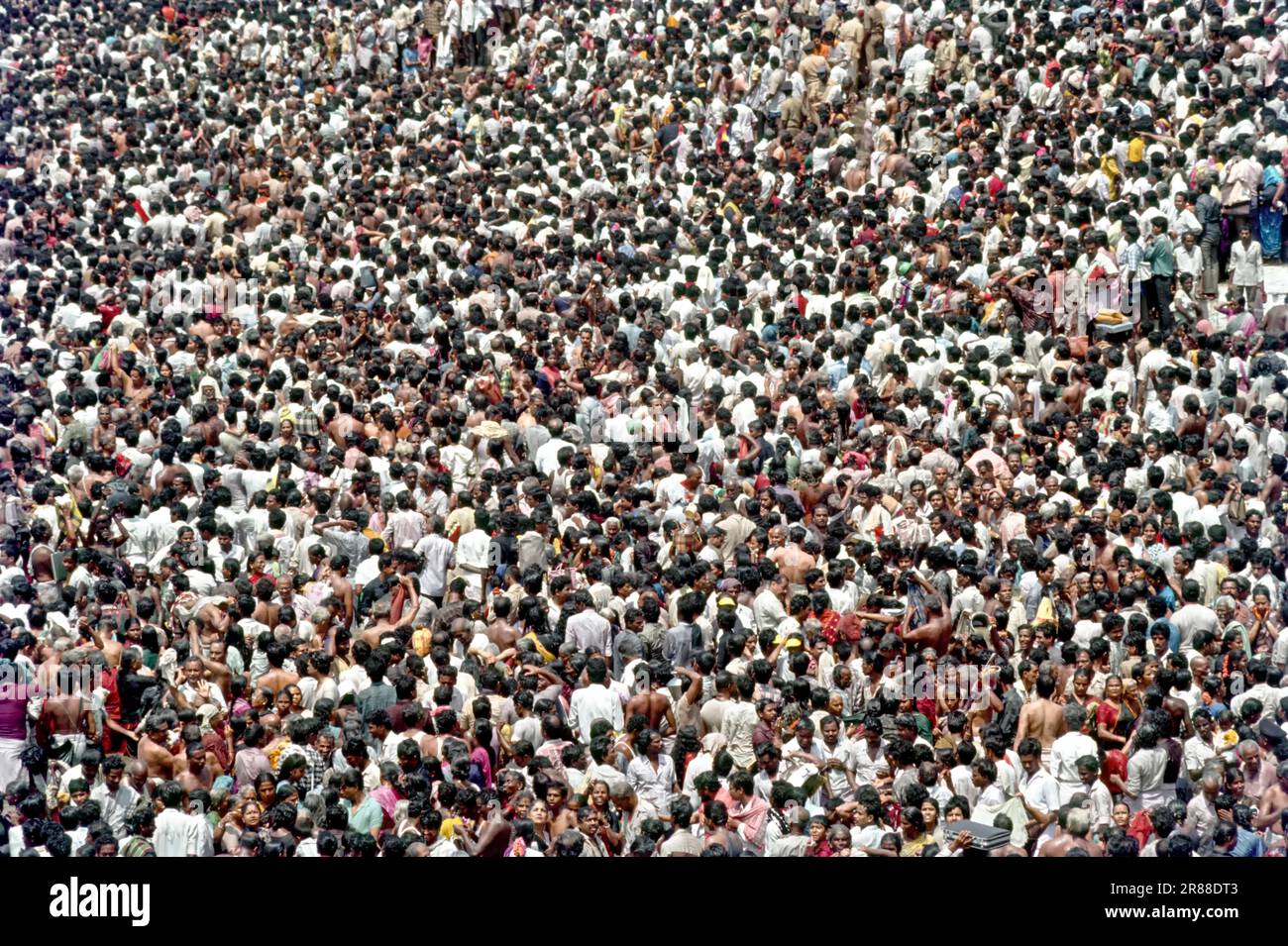 Sprinkling of Brahmma theertham (sacrad water) to the people during ...