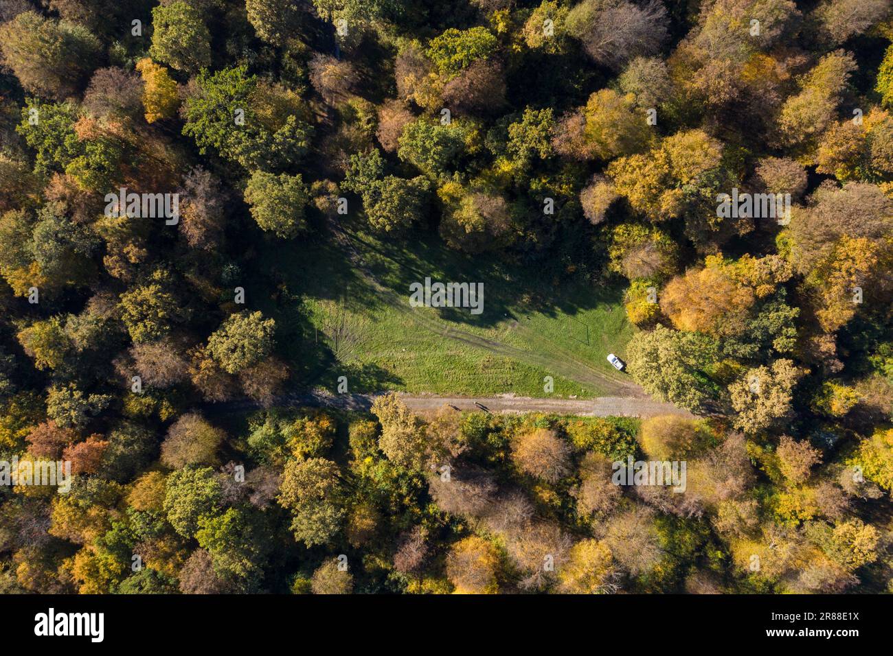 Aerial view of forest canopy in the autumn, clearing wit a white car ...