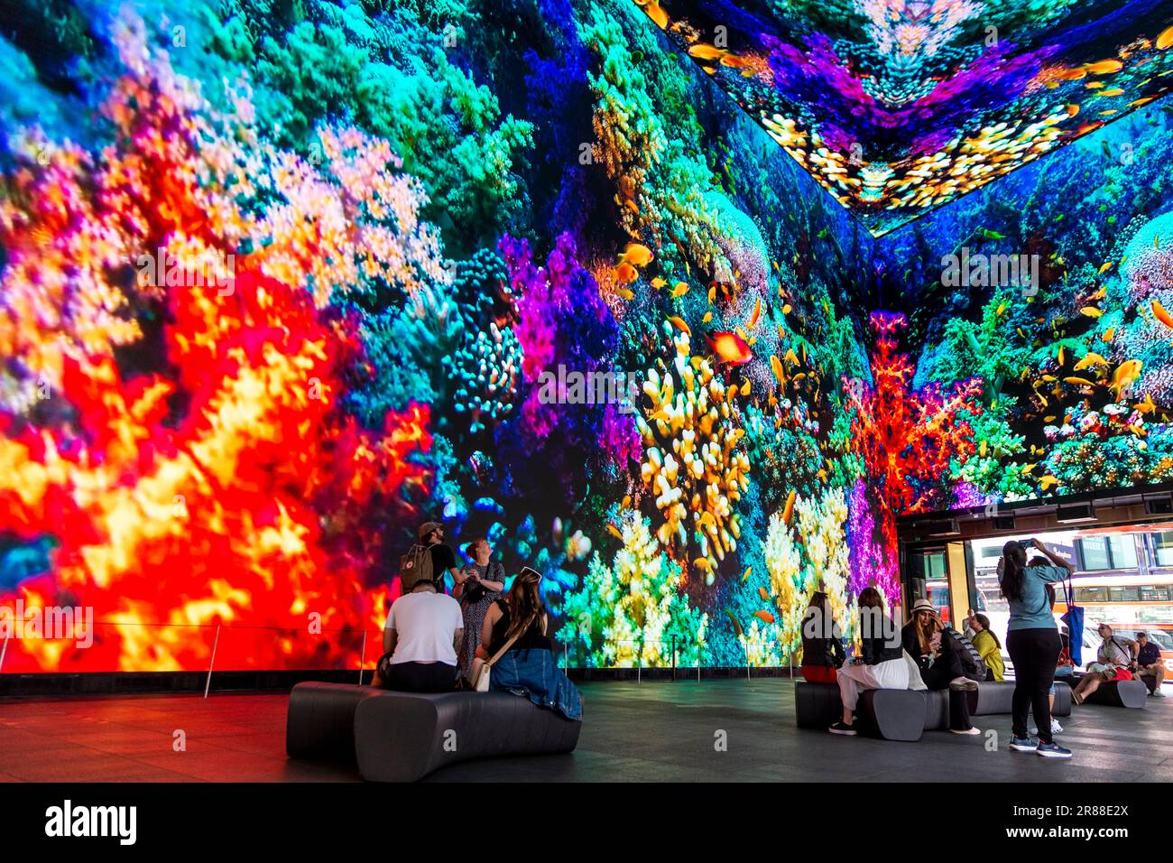 Digital displays showing coral reefs and underwater life at the Now ...
