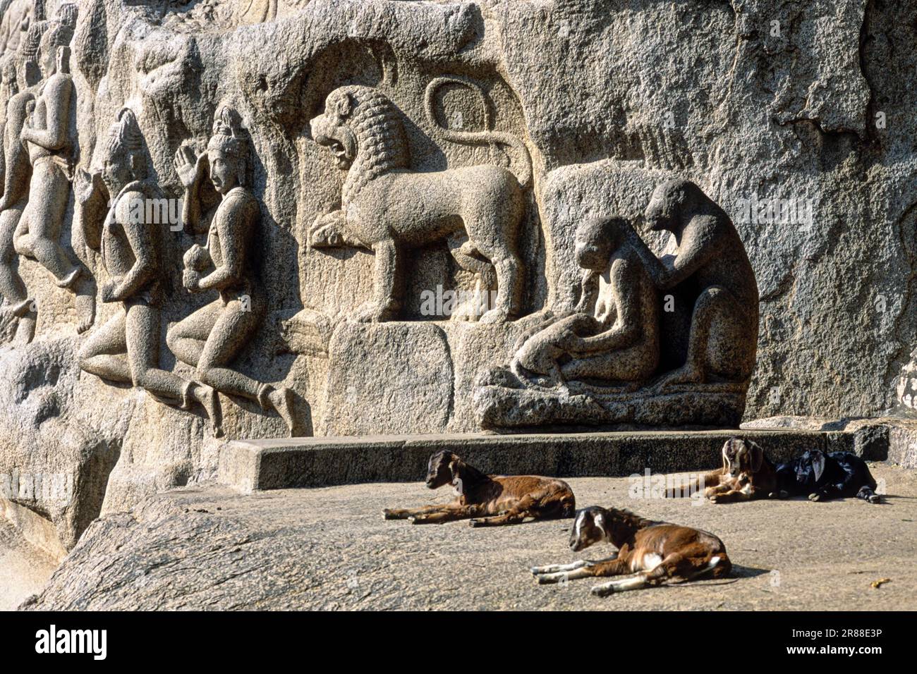 Mythological carved animal and monkey grooming carved on Arjunas ...