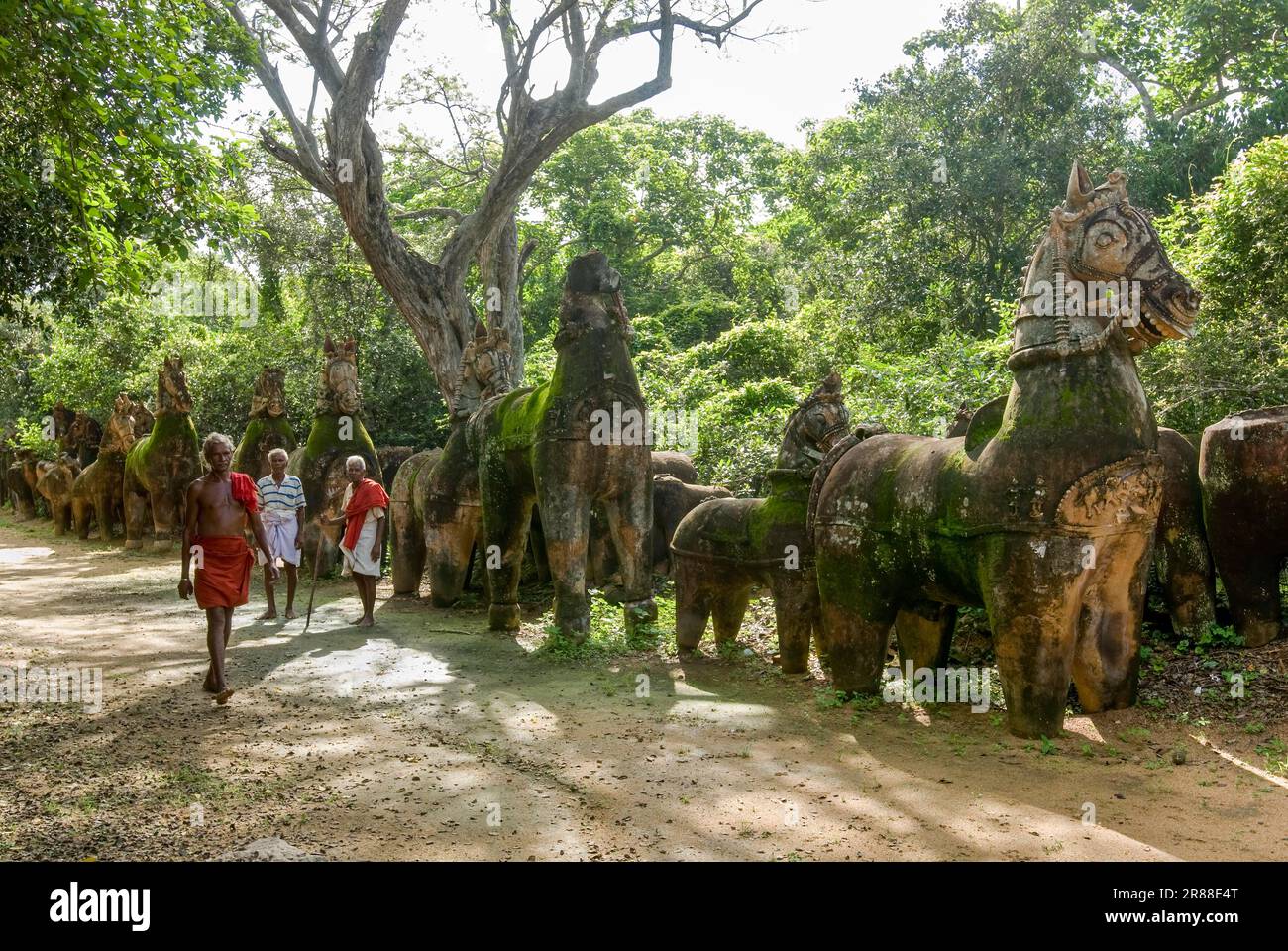 Sacred Groves, Terracotta horses in Ayyanar temple at Oorappatti near ...