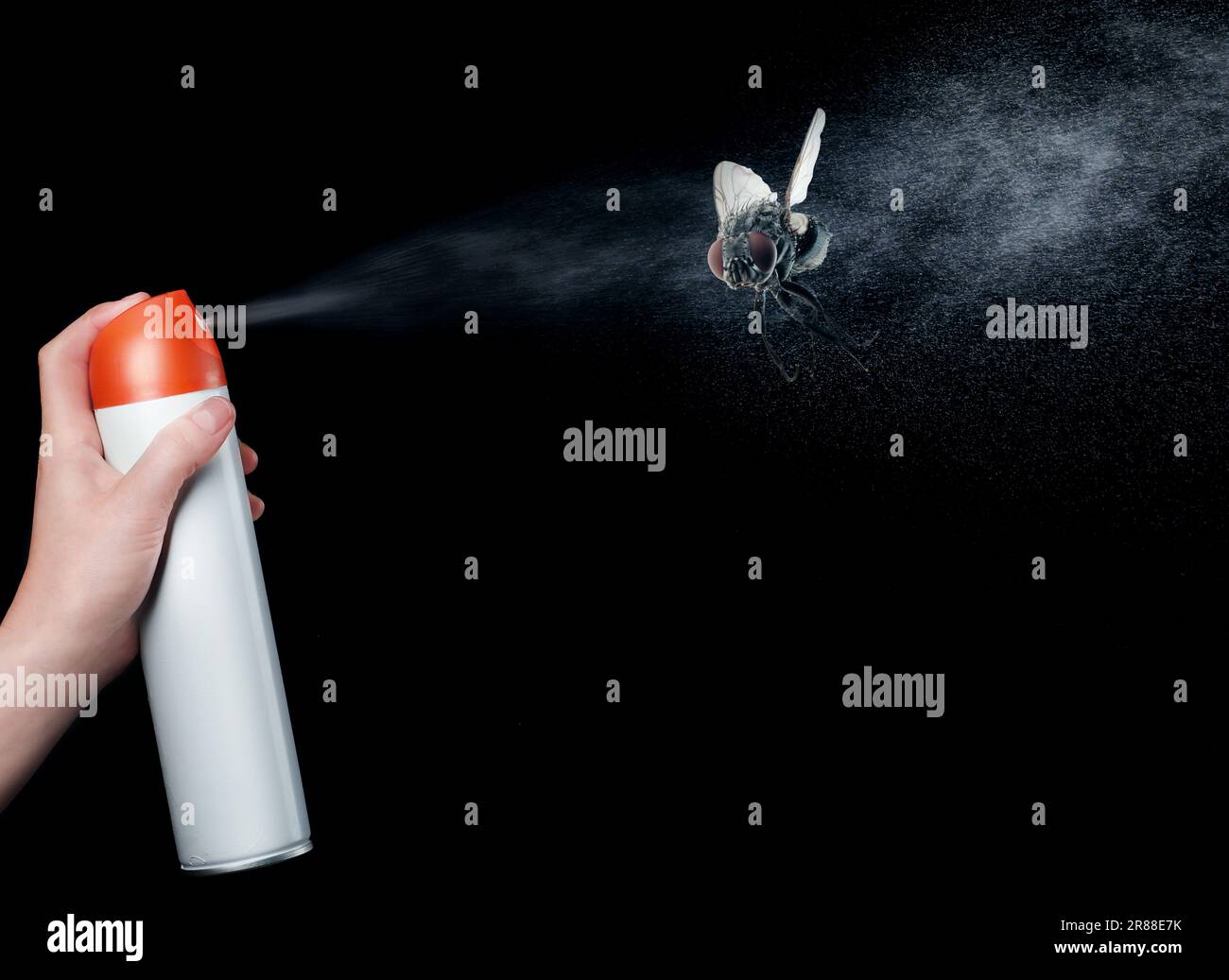 Woman spraying insect aerosol on fly against black background, closeup ...
