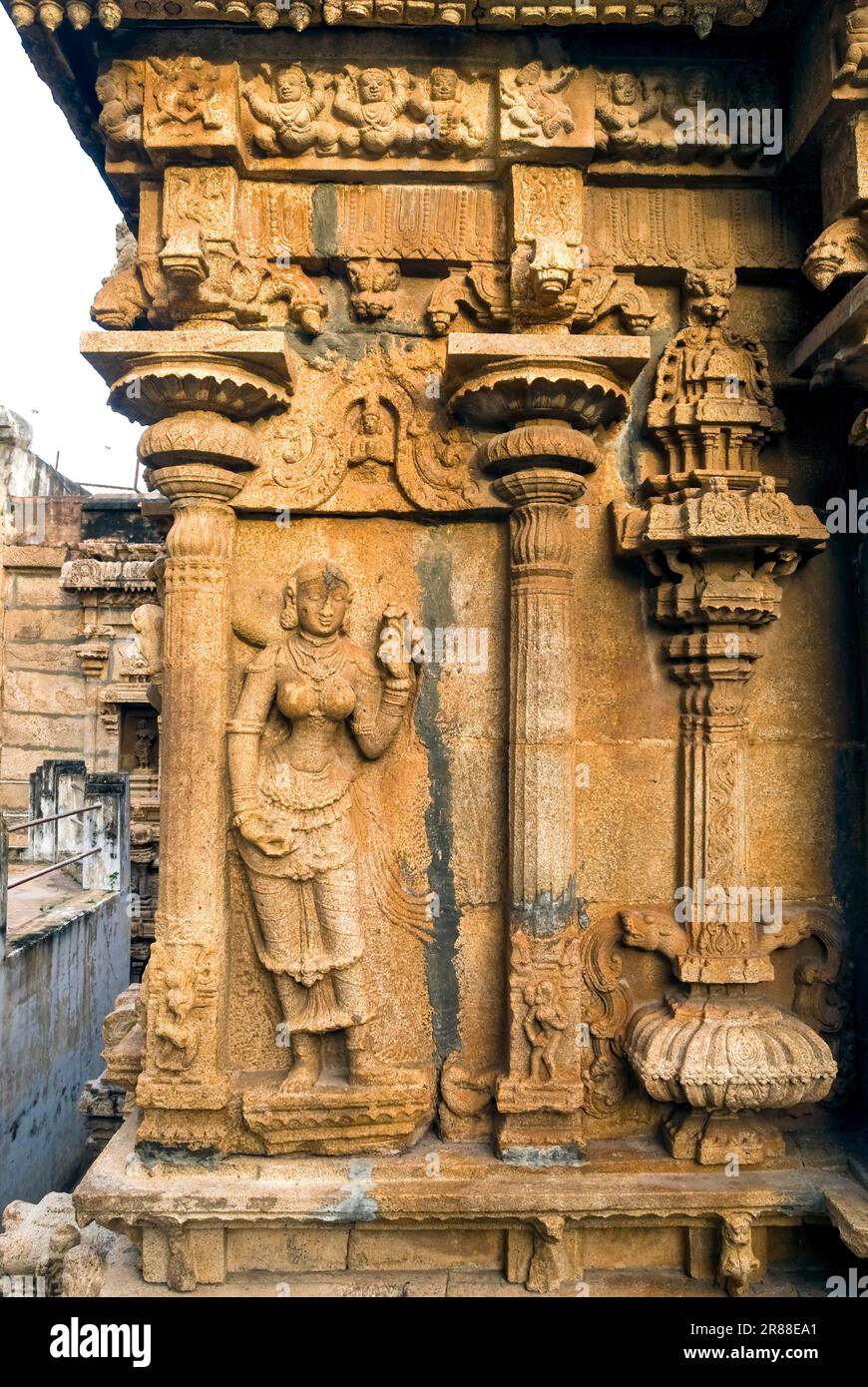 Richly carved statue of beautiful woman with Parrot on the wall of ...