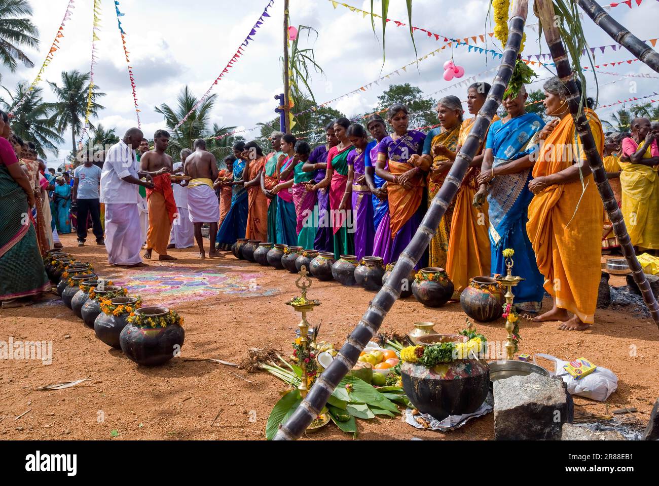 Villagers worshiping Pongal pots during Pongal celebration at Pollachi ...