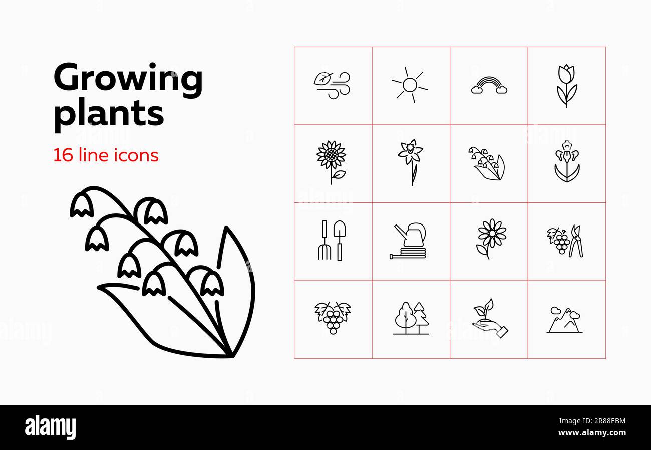 Growing plants icons Stock Vector Image & Art - Alamy