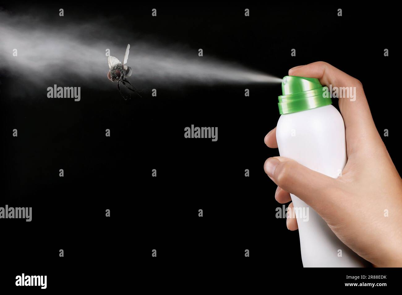 Woman spraying insect aerosol on fly against black background, closeup ...