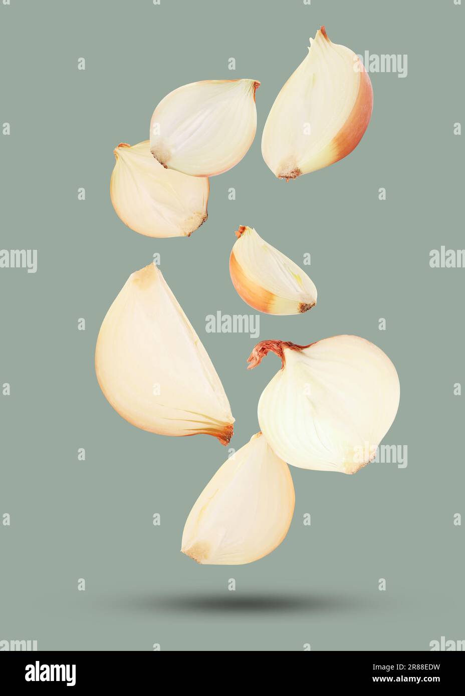 Cut fresh onions falling on light grey background Stock Photo - Alamy
