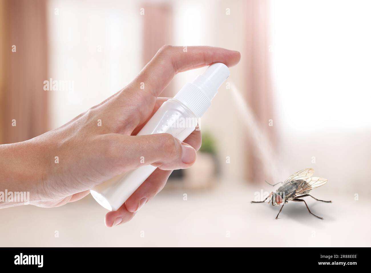 Woman using insecticide spray hi-res stock photography and images - Alamy