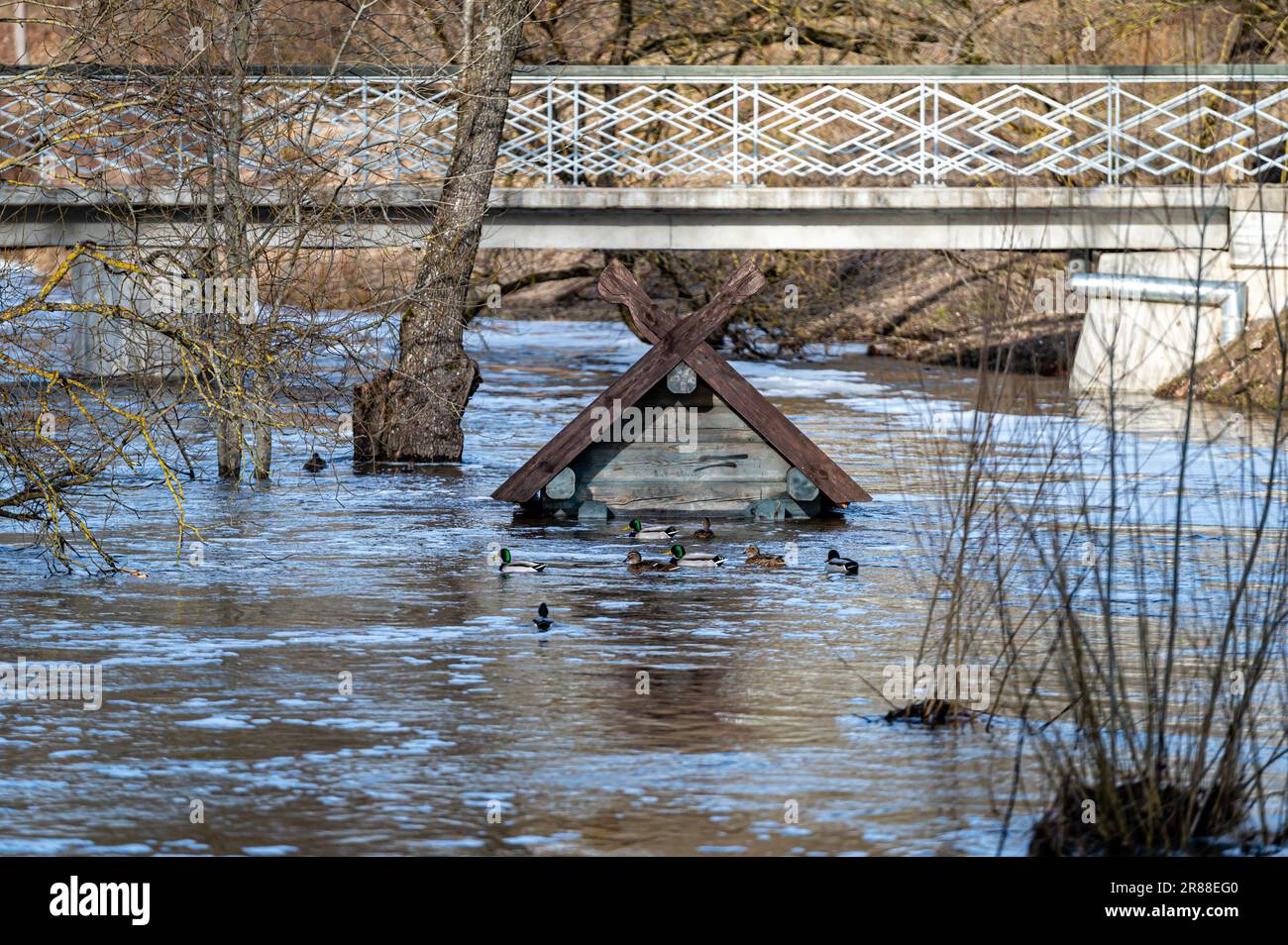 to the roof of a bird house flooded in spring floods - a feeder on the ...