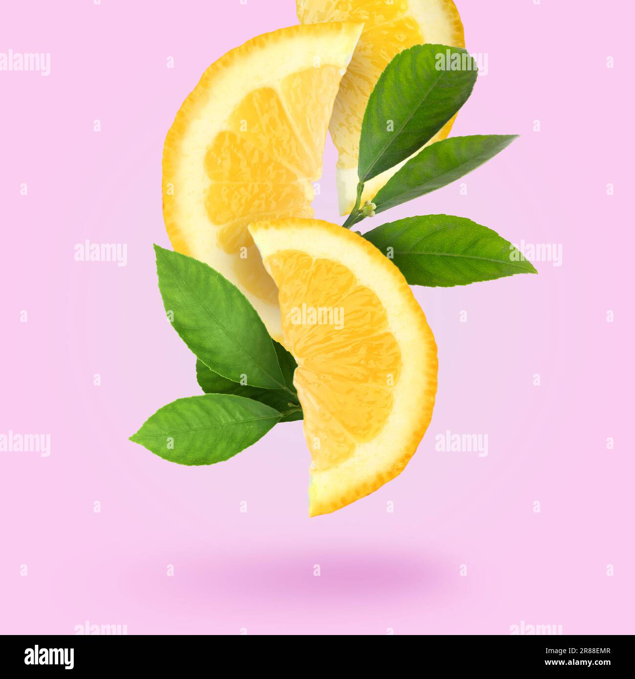 Cut fresh lemon with green leaves falling on pink background Stock ...
