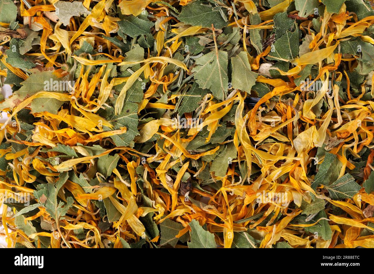 Herbal tea (dandelion root) purification tea, birch leaves, horsetail ...