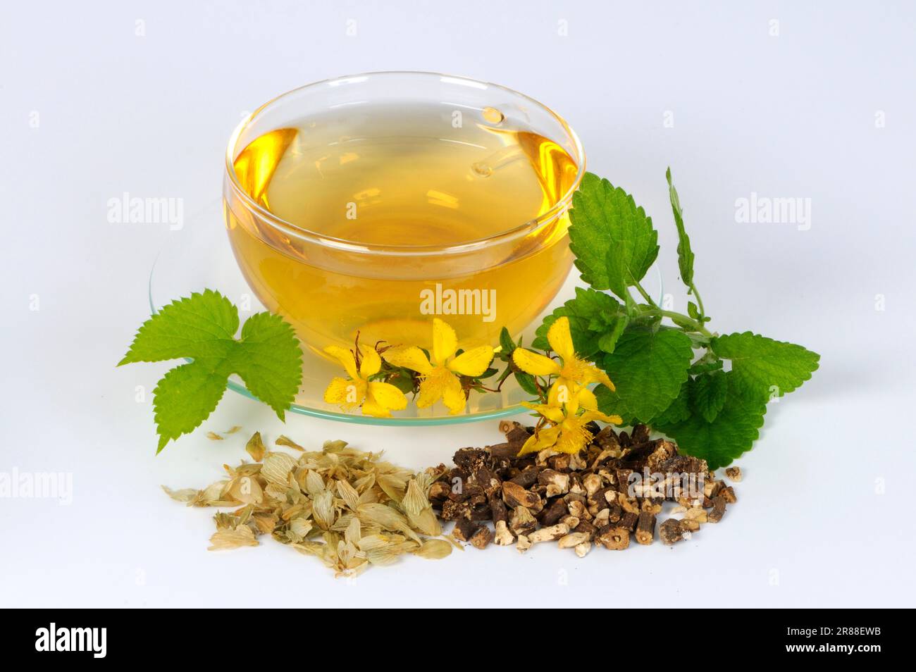 Herbal tea with St. John's wort, valerian root, hops and lemon balm ...
