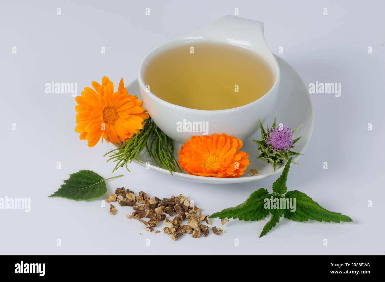 Cup (dandelion root) herbal tea, purification tea, birch leaves ...