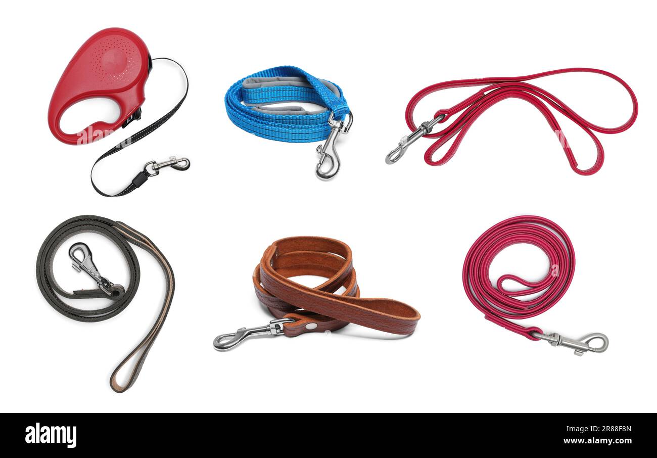Different pet leashes on white background, collage design Stock Photo ...