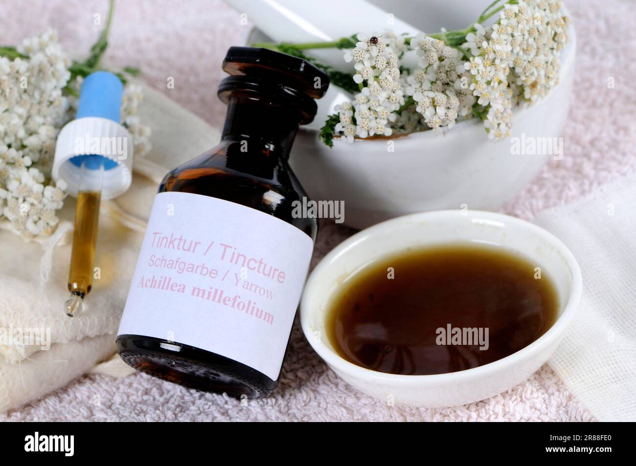 Yarrow (tincture) (Achillea millefolium Stock Photo - Alamy