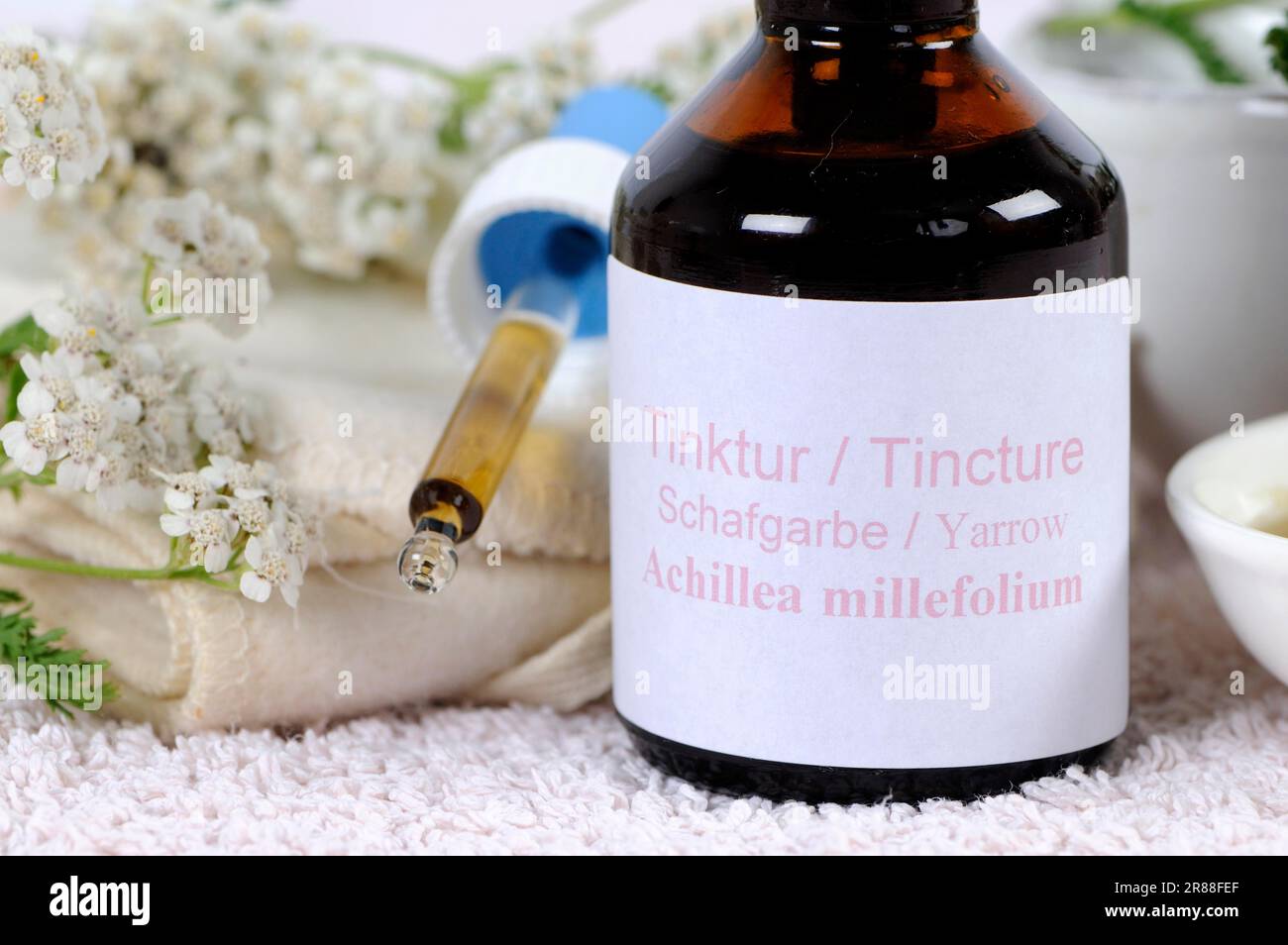Yarrow (tincture) (Achillea millefolium Stock Photo - Alamy