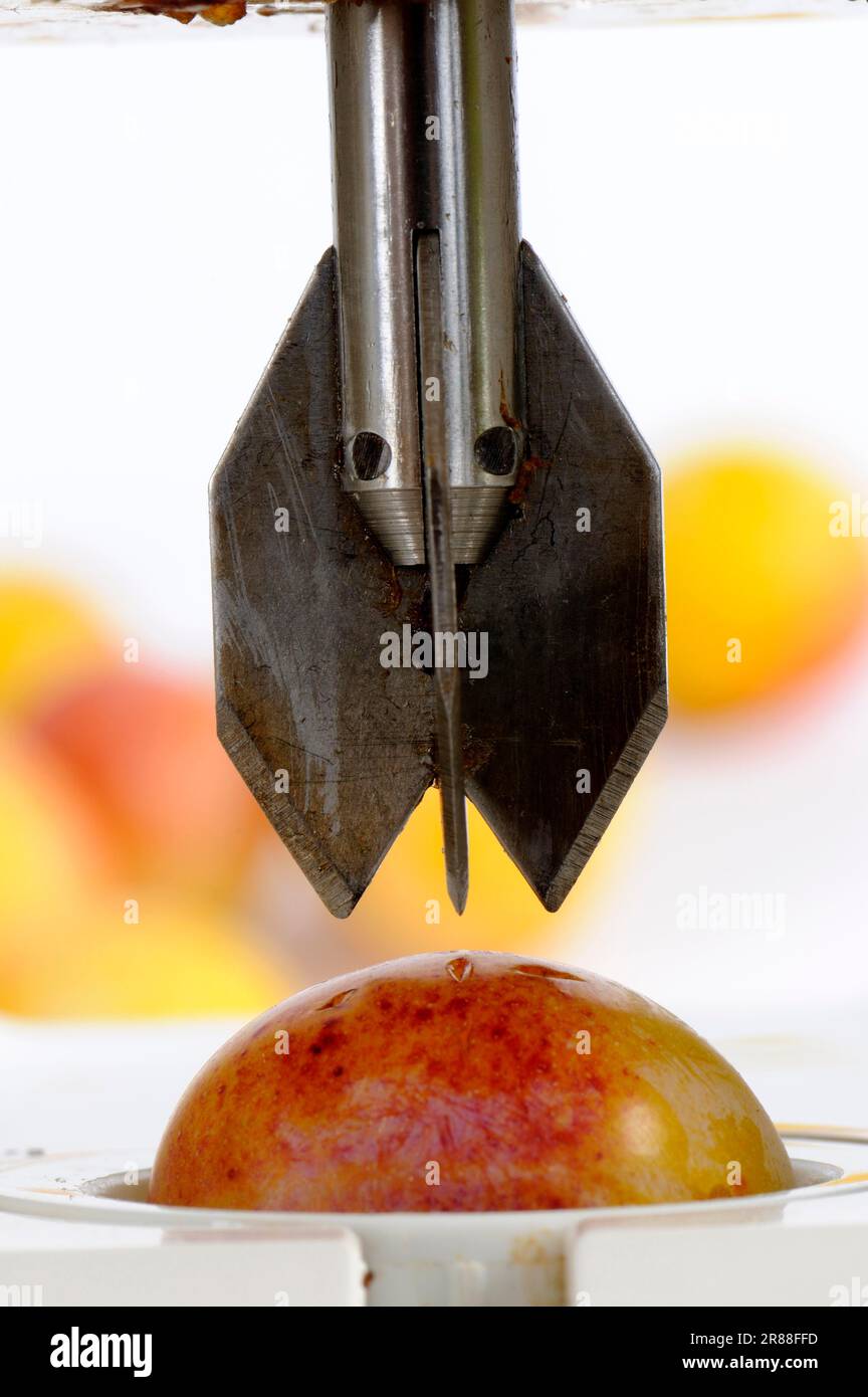 Pitted fruit hi-res stock photography and images - Alamy