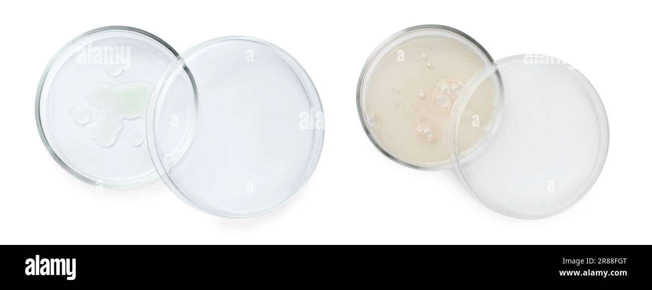 Petri dishes with liquid samples isolated on white, top view Stock ...