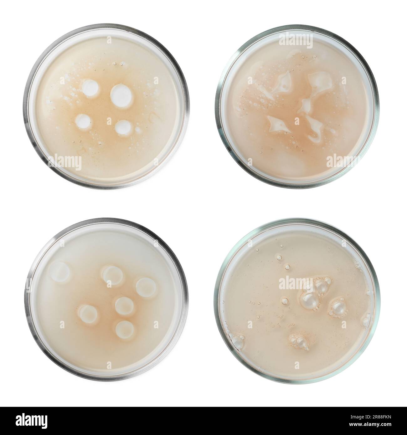 Set of Petri dishes with liquid samples isolated on white, top view ...