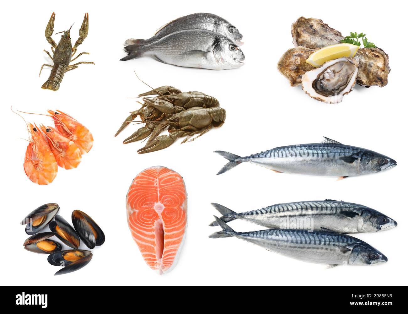 Collage with different seafood on white background Stock Photo - Alamy