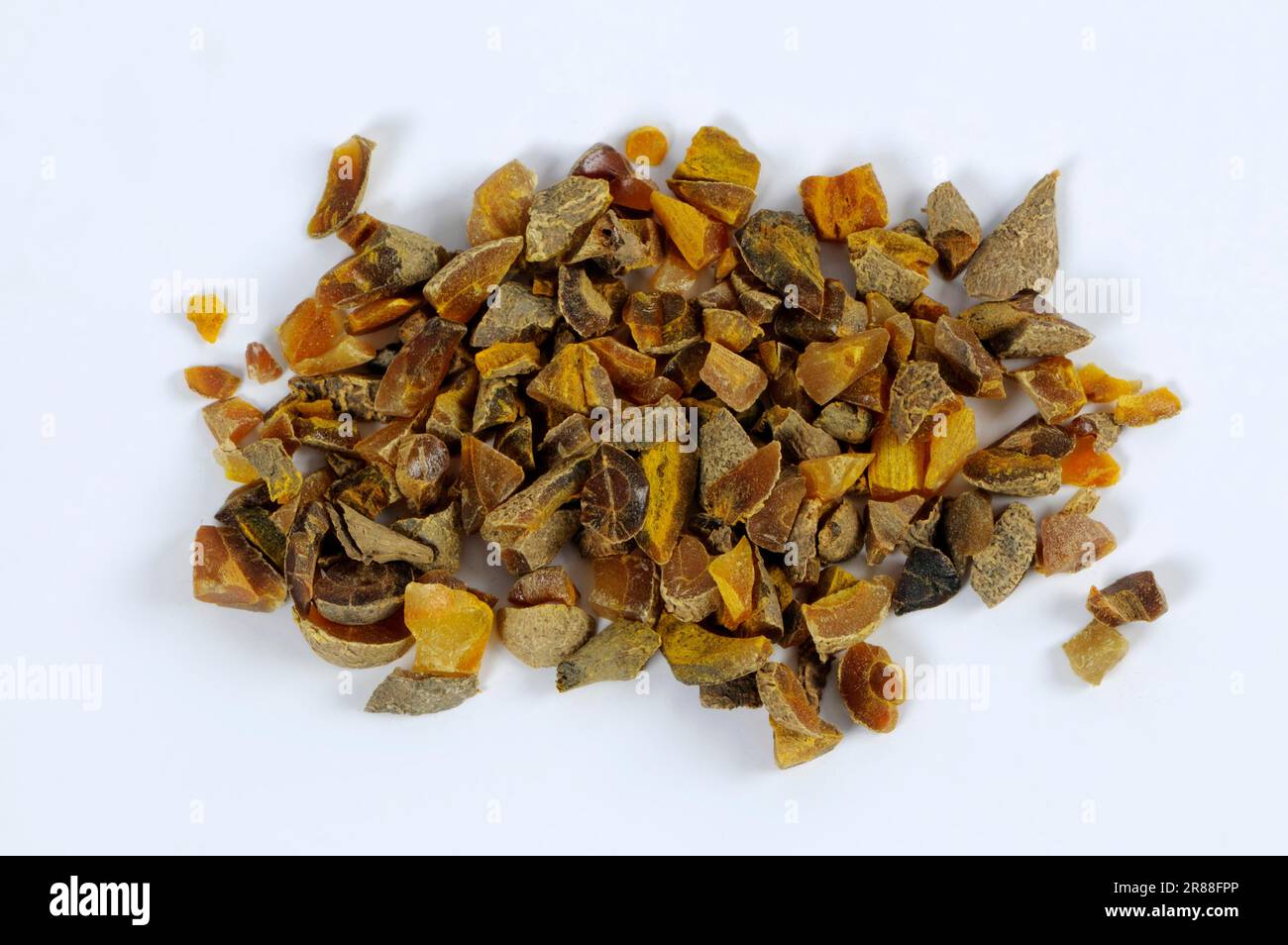 Curcuma root tubers (Curcumae Radix), Yu Jin, freehand, object Stock ...