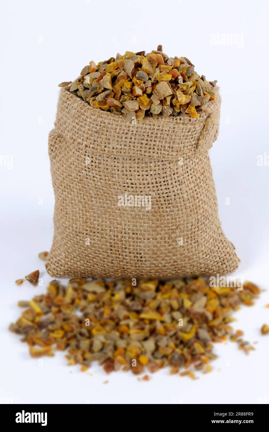 Curcuma root tubers (Curcumae Radix), Yu Jin, freehand, object Stock ...