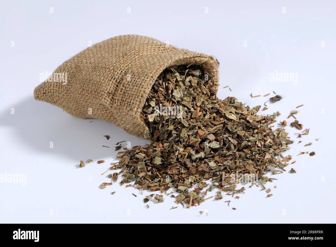 Steamed (Radix (gastropod) ) Rhubarb Root et Rhizoma (Rehum palmatum ...