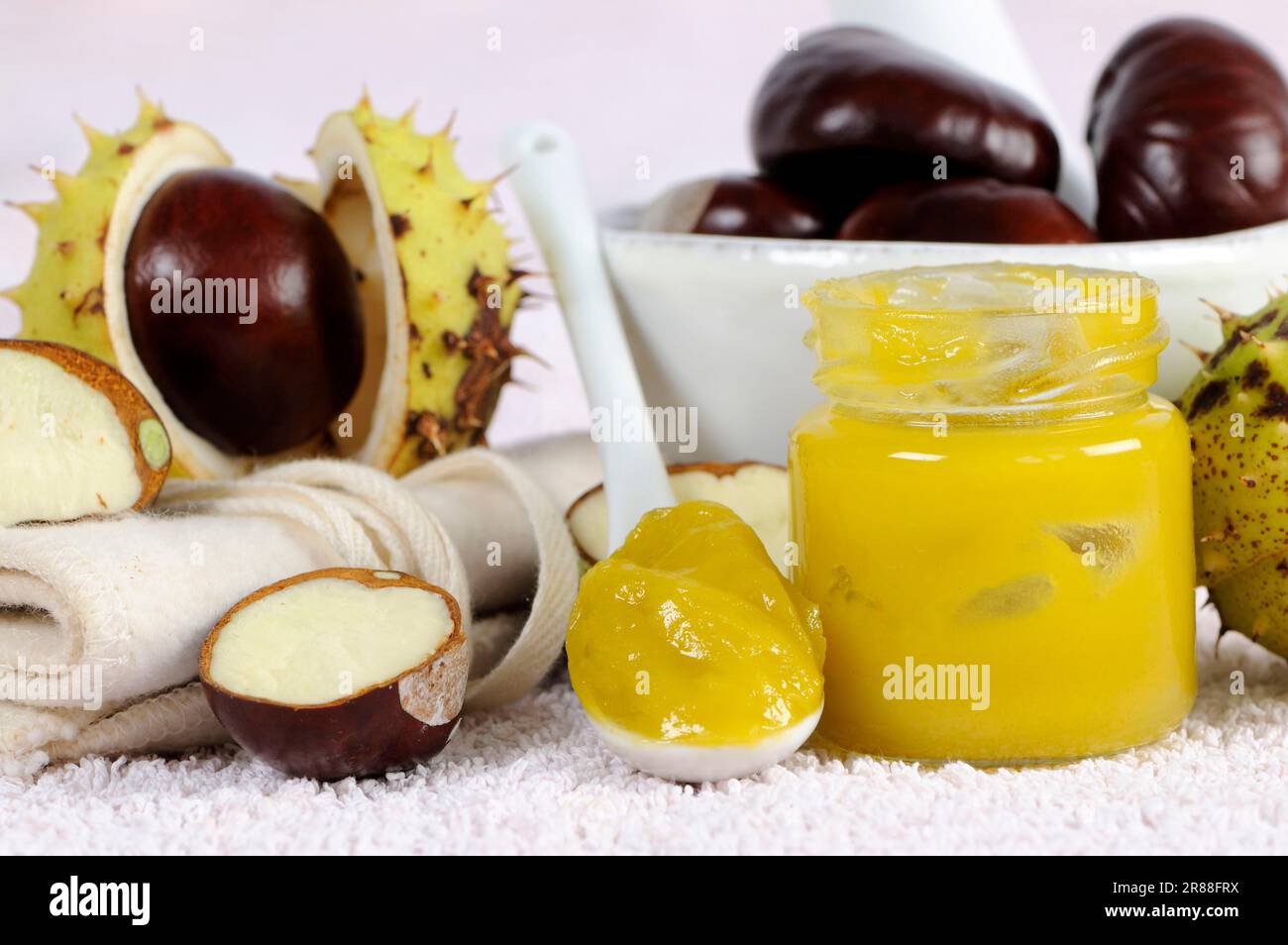 Horse Chestnut Ointment (Aesculus hippocastanum), Horse Chestnut ...