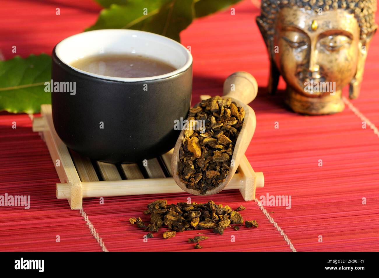 Steamed (Radix (gastropod) ) Rhubarb Root, Rhubarb Root Tea et Rhizoma ...