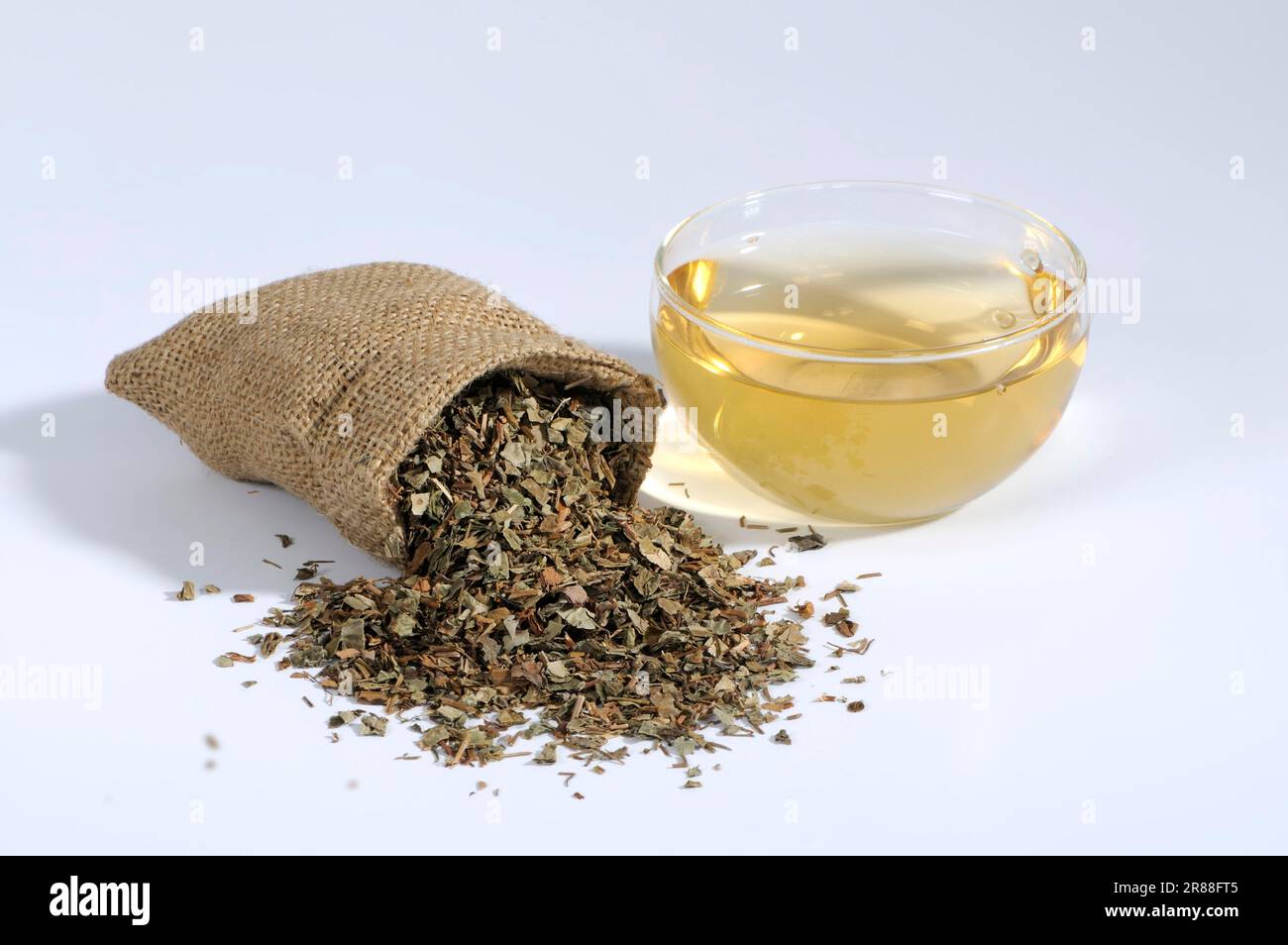 Steamed (Radix (gastropod) ) Rhubarb Root, Rhubarb Root Tea et Rhizoma ...