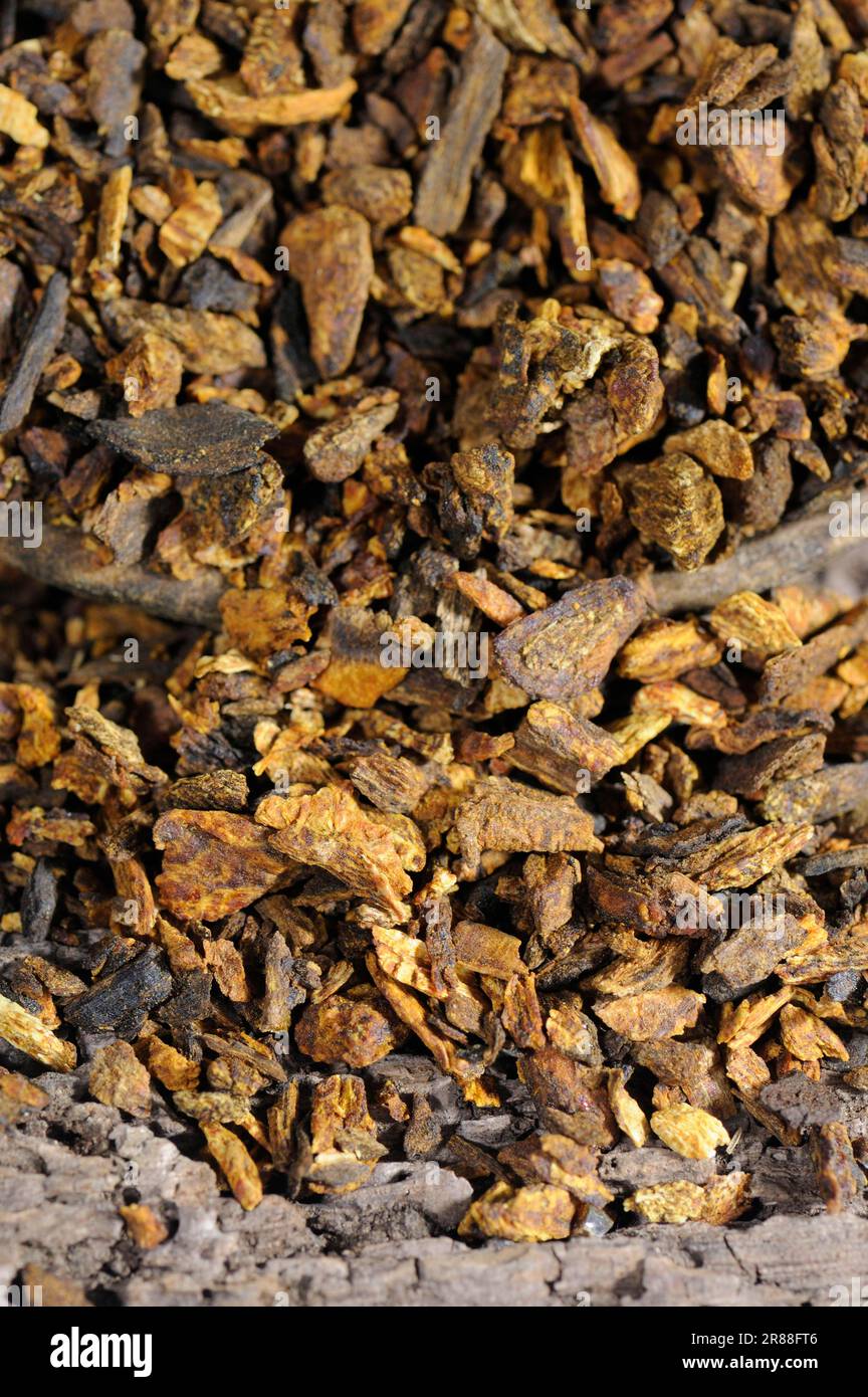 Rehum hi-res stock photography and images - Alamy