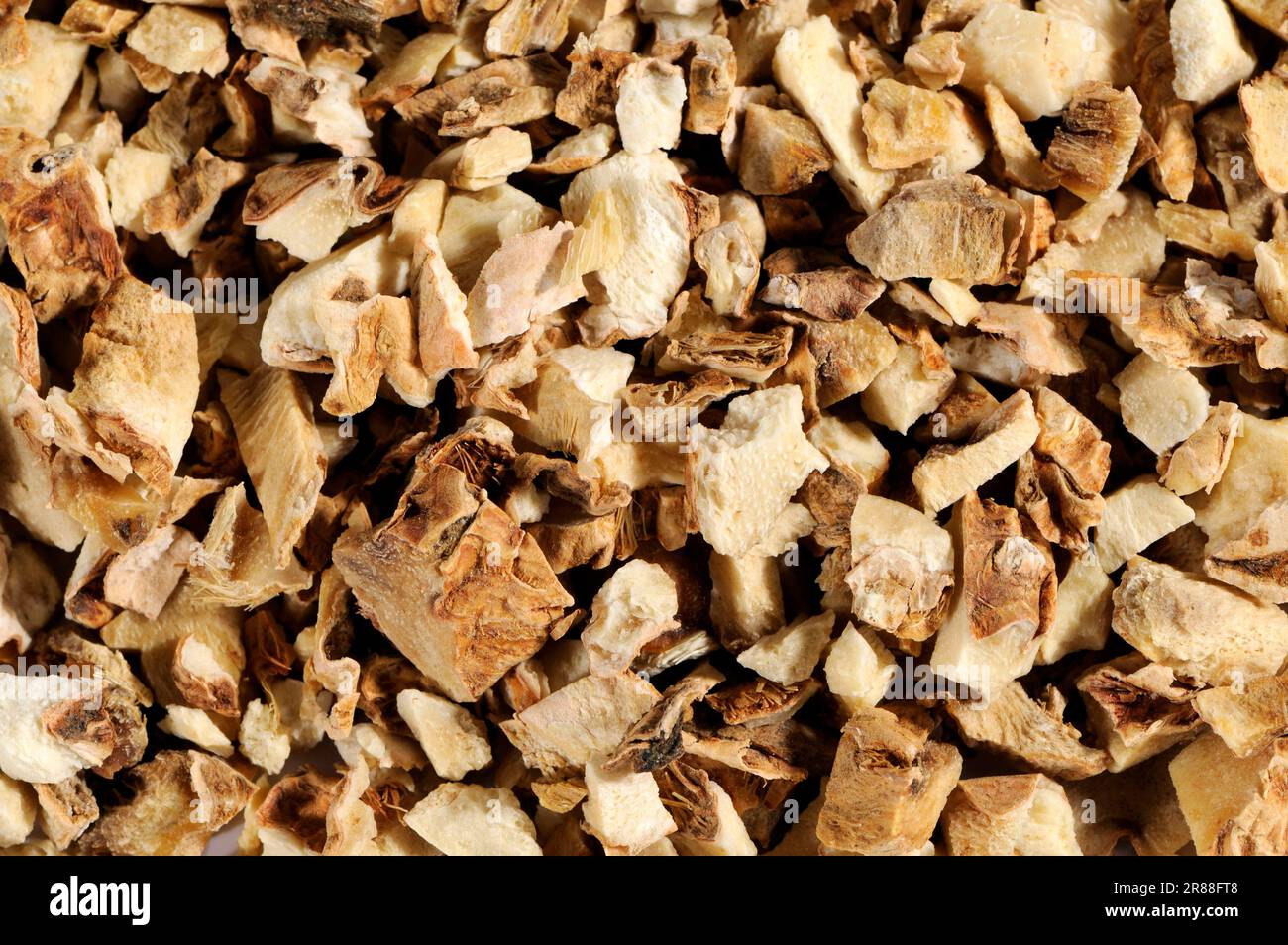 Common Anemarrhena rhizome (Anemarrhenae rhizoma), Zhi Mu Stock Photo ...