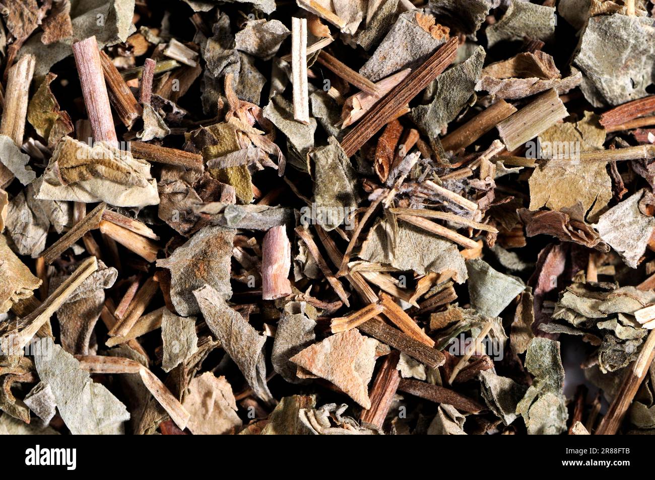 Steamed (Radix (gastropod) ) Rhubarb Root et Rhizoma (Rehum palmatum ...