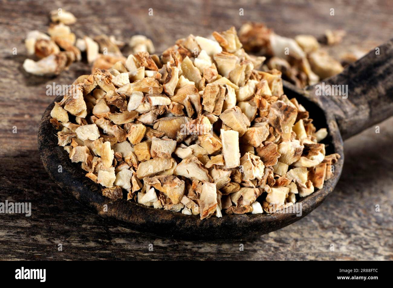 Common Anemarrhena rhizome (Anemarrhenae rhizoma), Zhi Mu Stock Photo ...