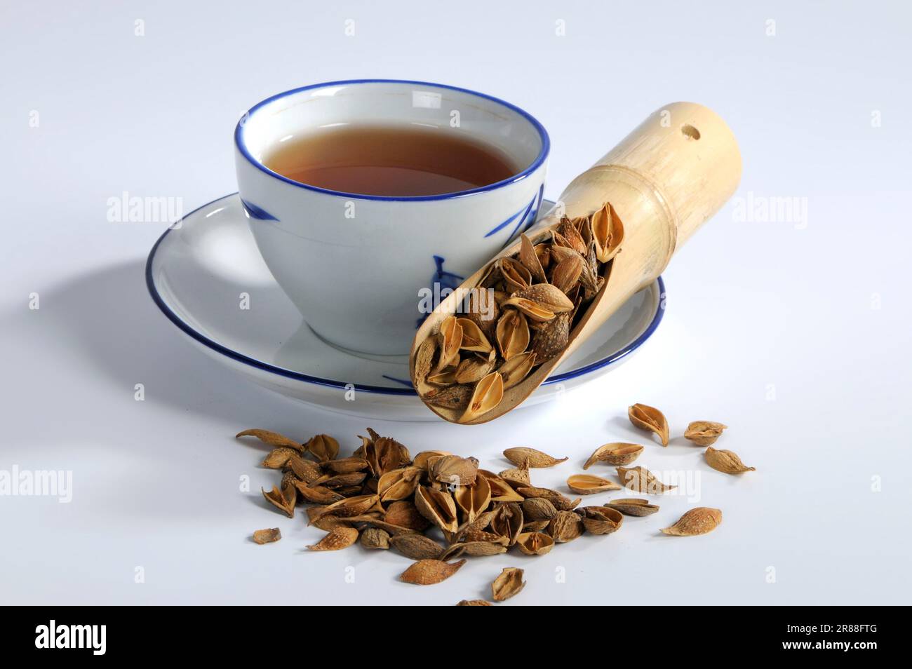 Forsythia fruit tea hi-res stock photography and images - Alamy