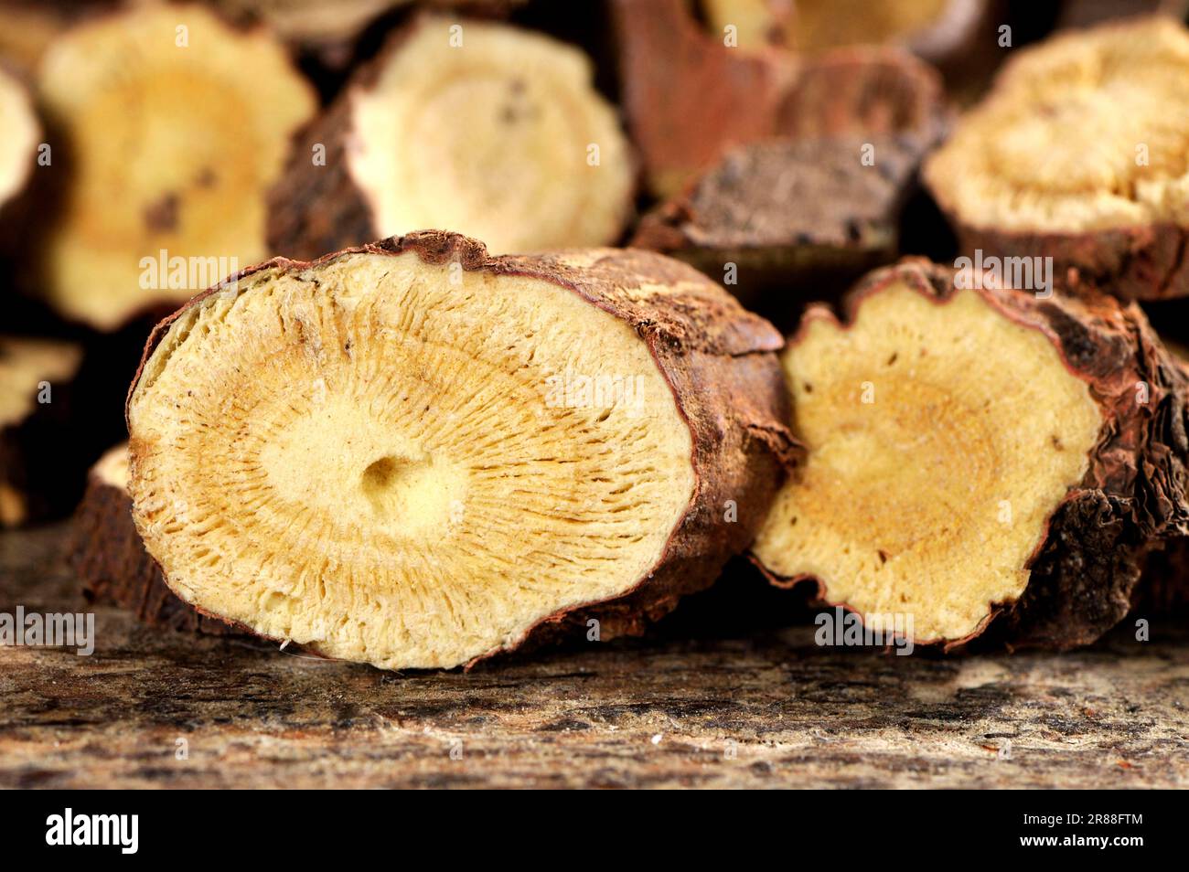 Ural licorice root hi-res stock photography and images - Alamy