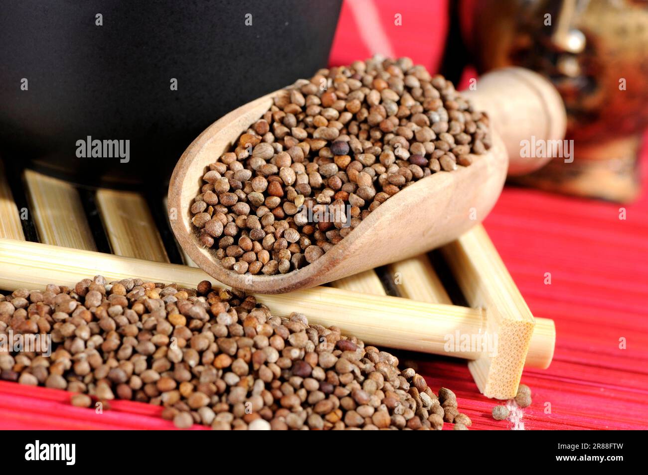 Cup of Black Nettle Fruit Tea (Perillae Fructus), Zi Su Zi, Black ...