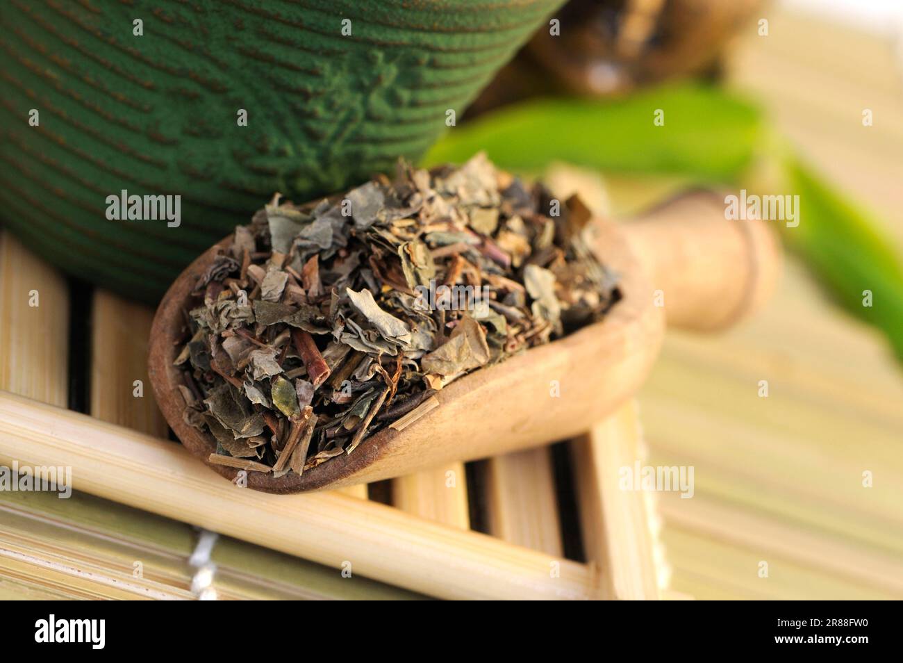 Steamed (Radix (gastropod) ) Rhubarb Root, Rhubarb Root Tea et Rhizoma ...
