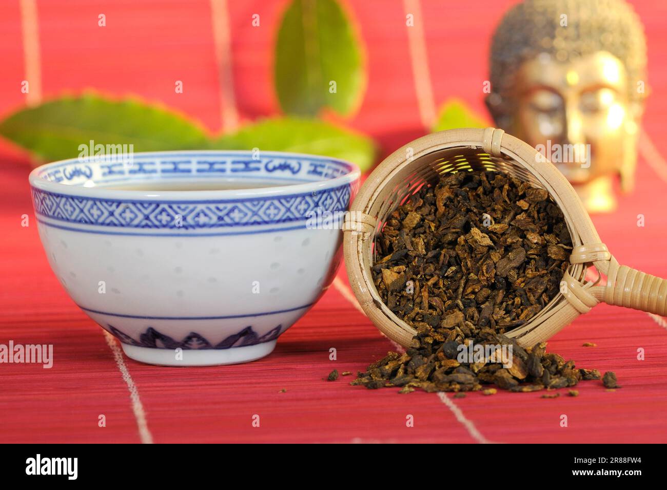 Steamed (Radix (gastropod) ) Rhubarb Root, Rhubarb Root Tea et Rhizoma ...